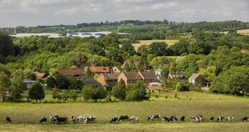 Rural Britain and the levelling up agenda explained