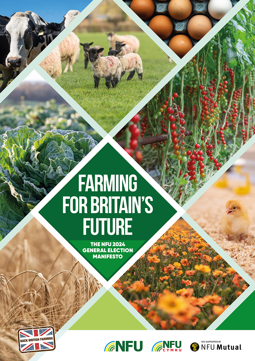 Farming for Britain's Future: our election manifesto – NFUonline