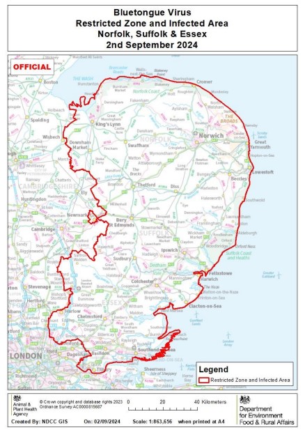 Bluetongue movement restrictions – NFUonline