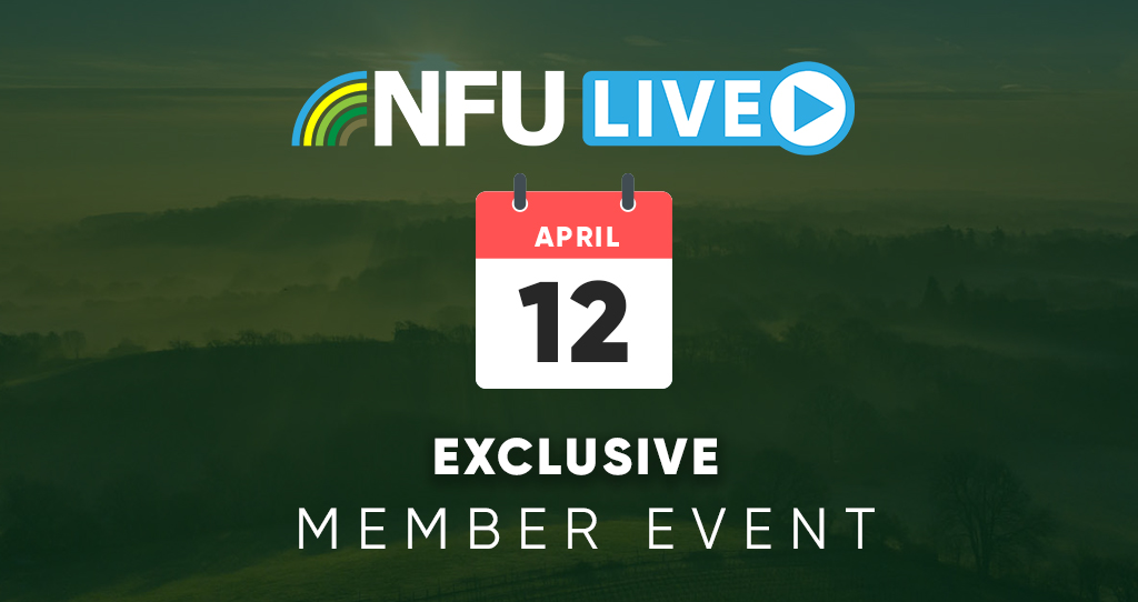 Dairy industry campaign delivers for the sector