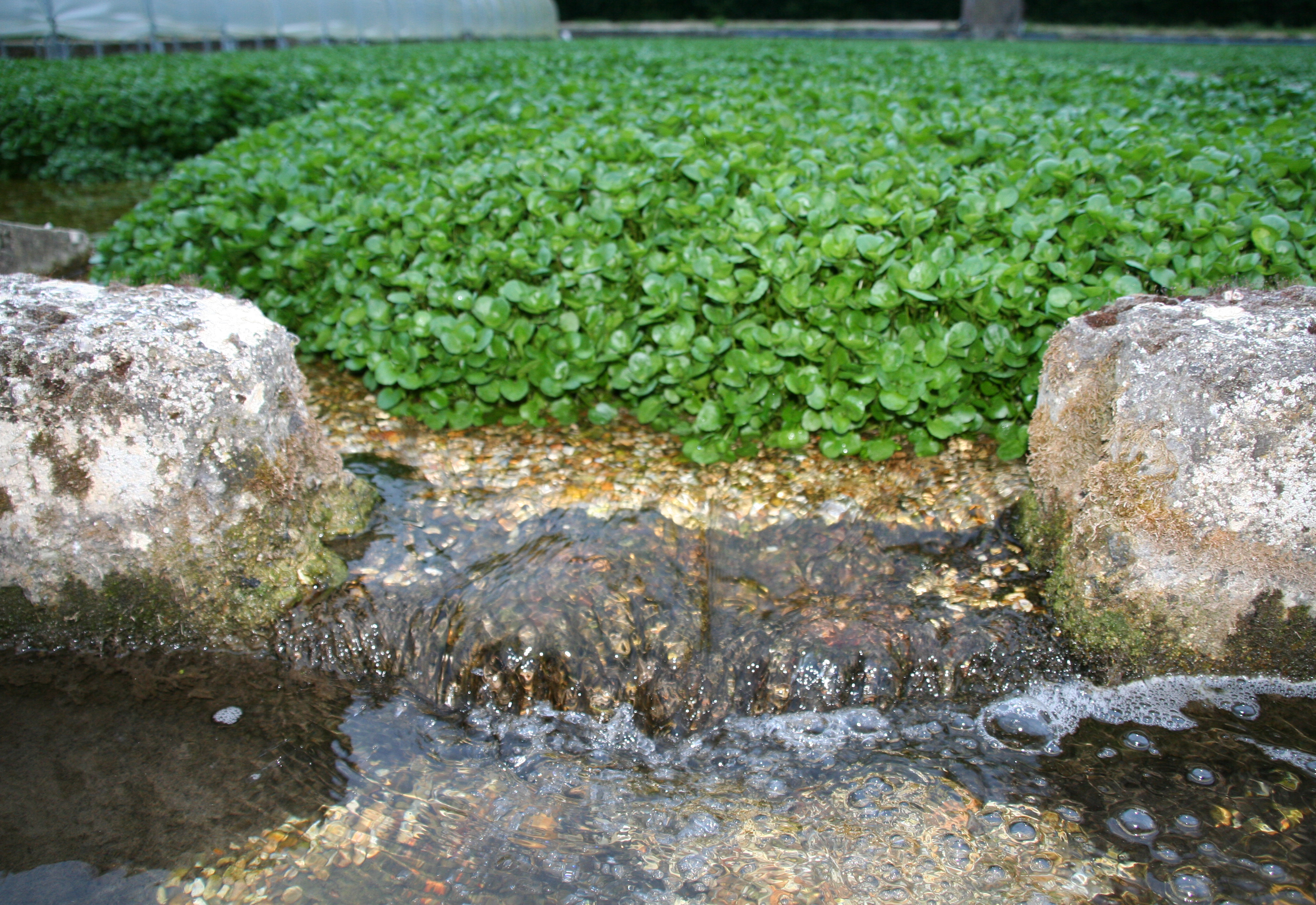 Catchment Sensitive Farming – free advice on tackling water and air ...