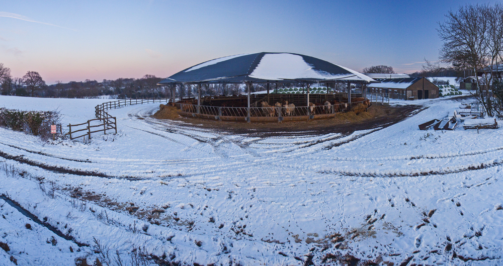 Working safely in wintry conditions
